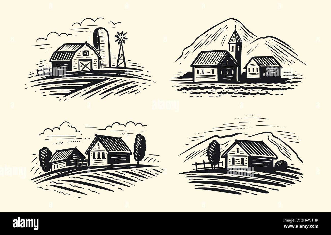 Village landscape sketch. Vintage vineyard farm. Hand drawn agricultural plantation with rustic ...