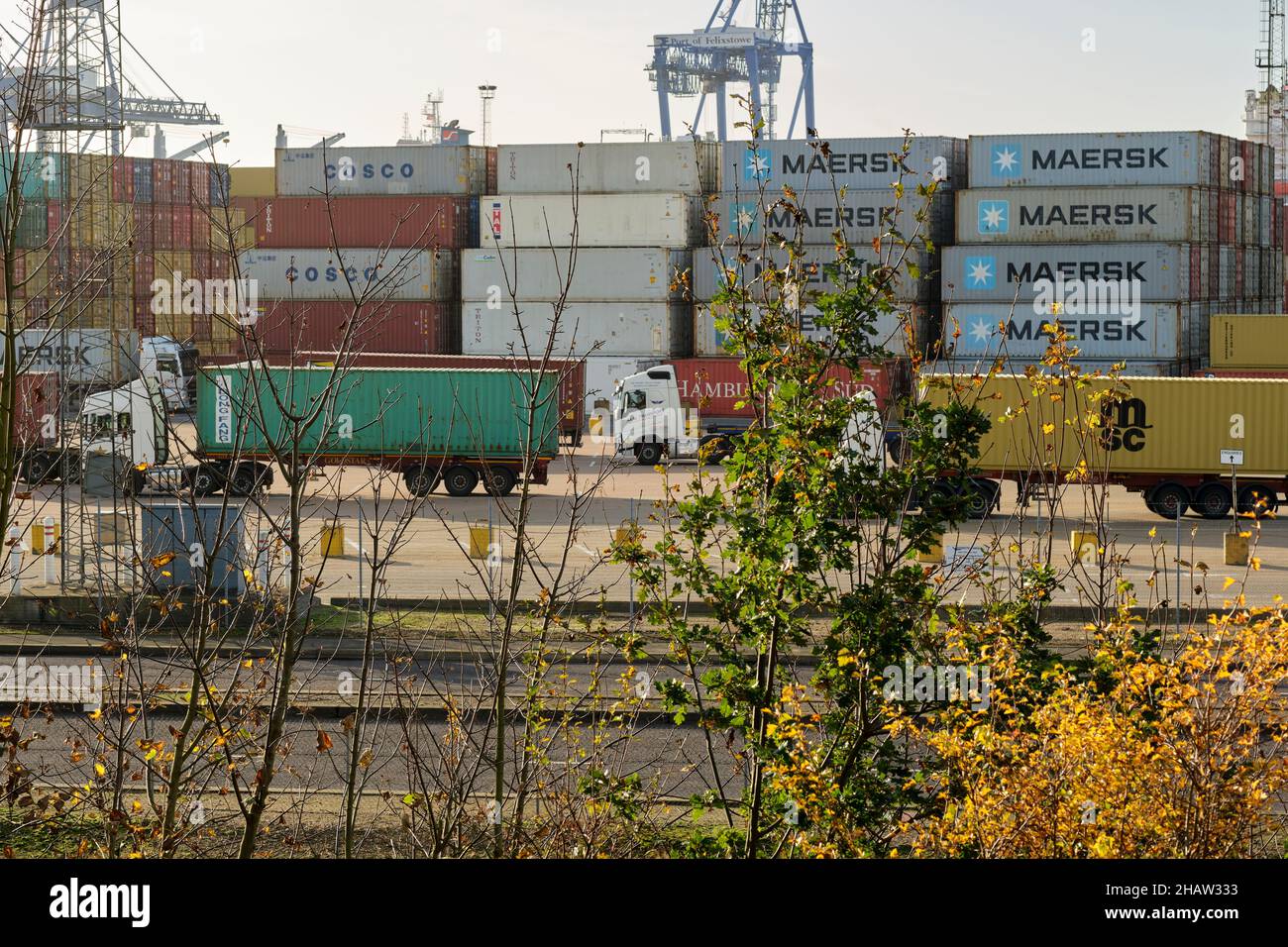 Lorries parted at Trinity Terminal Port of Felixstowe looking through ...