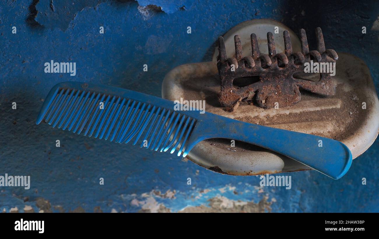 Old comb with hairclip in soap dish in front of blue wall, blue comb on ...
