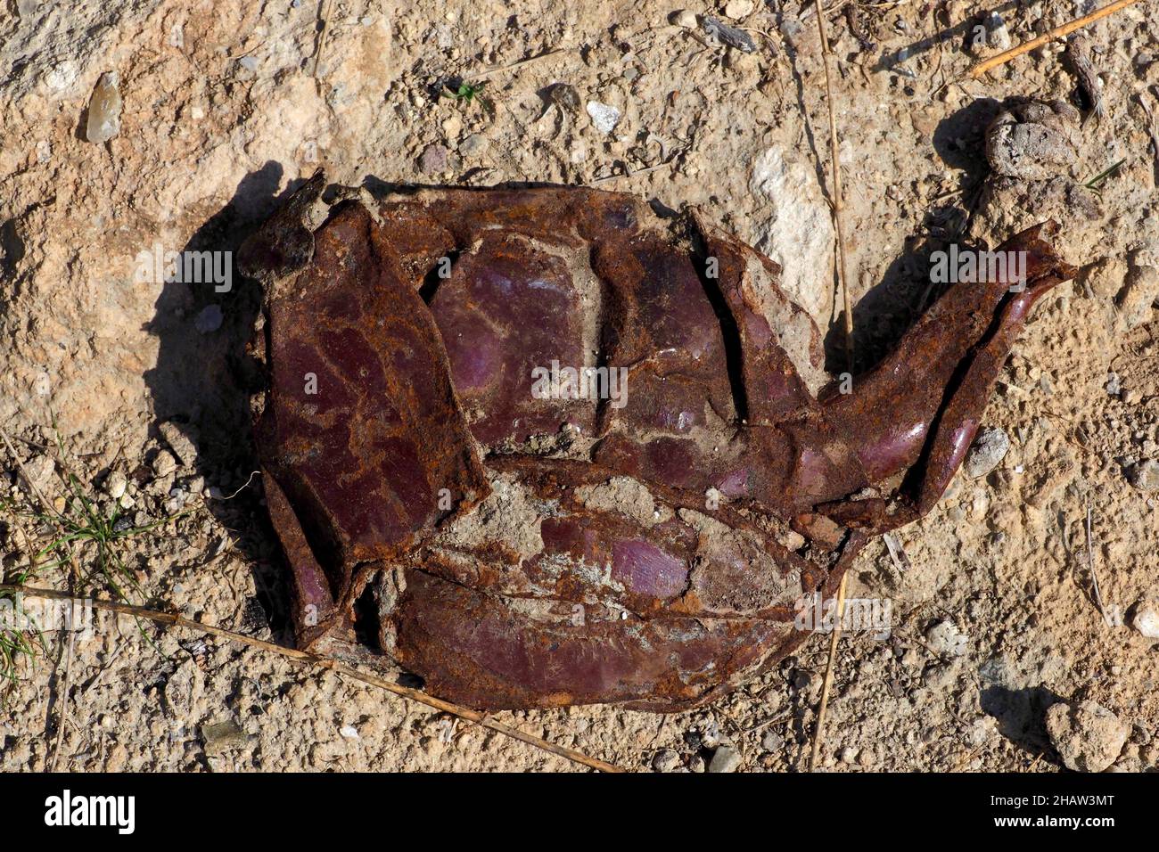 Crushed tea hi-res stock photography and images - Alamy