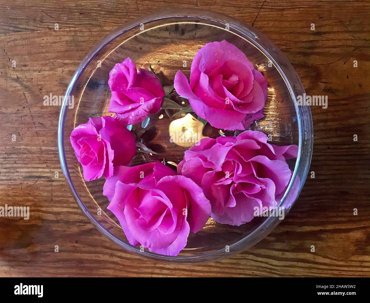Floating rose heads in glass vase from above, top view, pink roses in ...