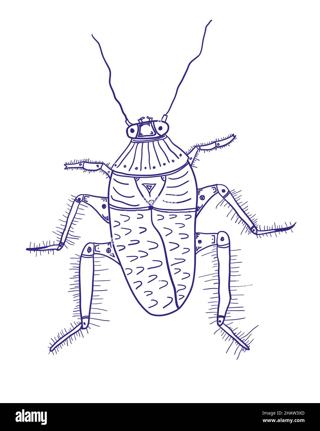 Humorous insect. German cockroach. Vector illustration Stock Vector ...