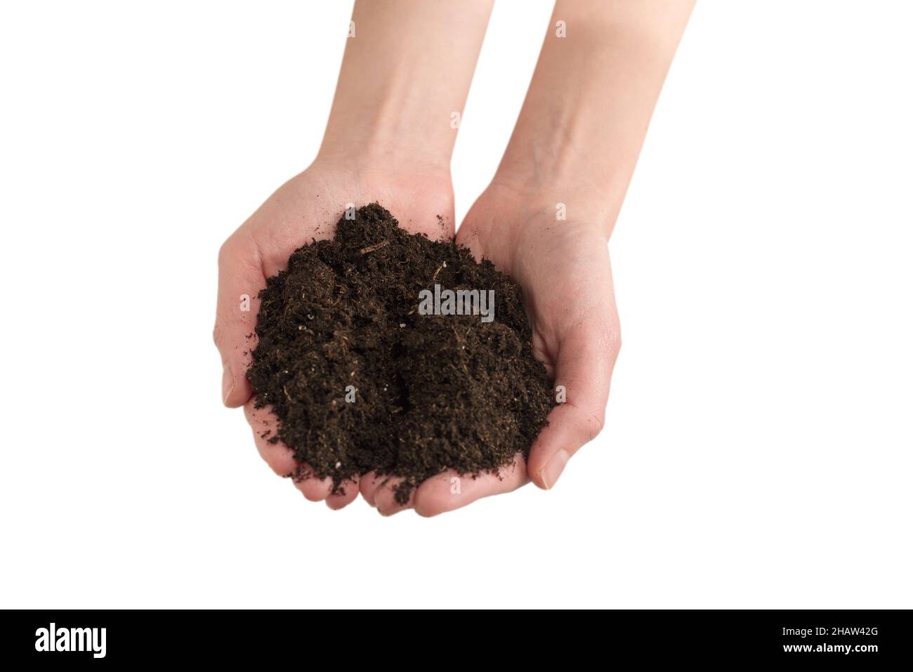 Soil on hands hi-res stock photography and images - Alamy