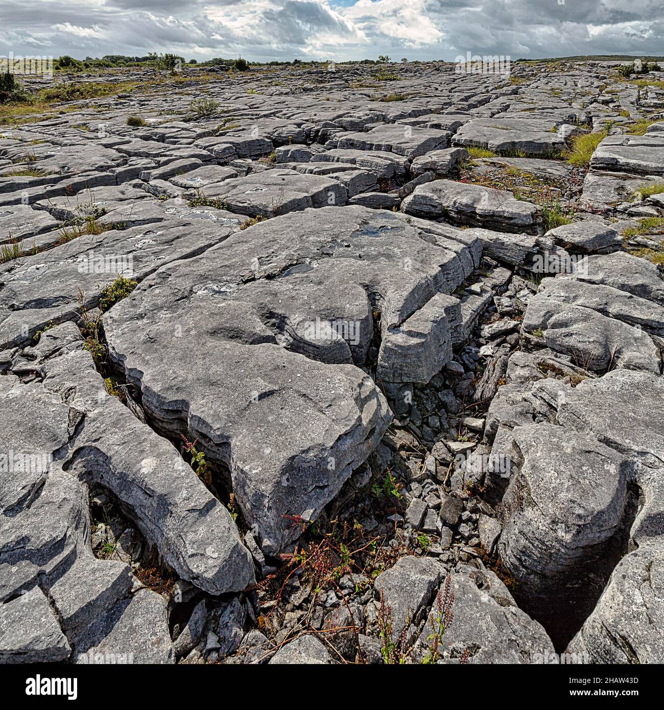 Bizarrely shaped limestone slabs on the hillside, karst landscape ...