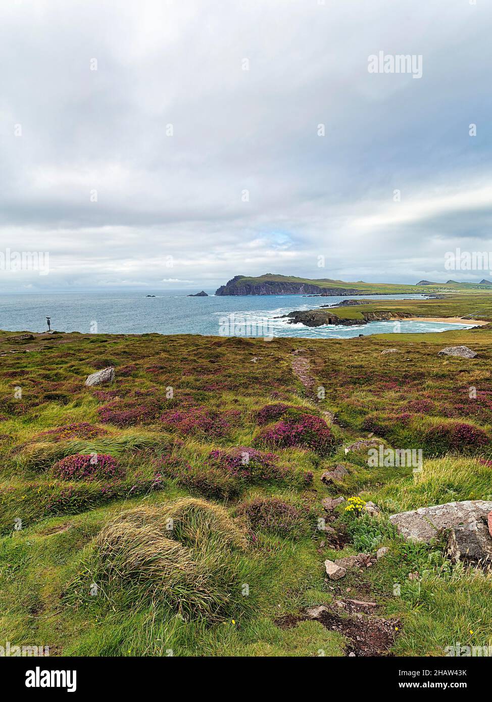 Viewpoint Clogher Head, View of the Atlantic Coast, Clogher Beach ...