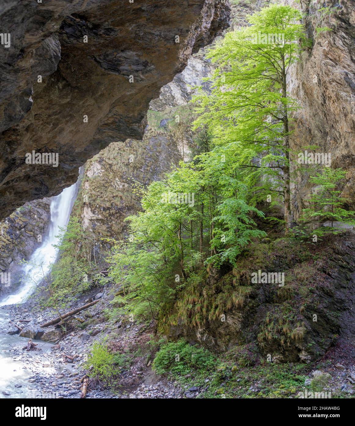 Landscape in liechtensteinklamm salzburg hi-res stock photography and ...