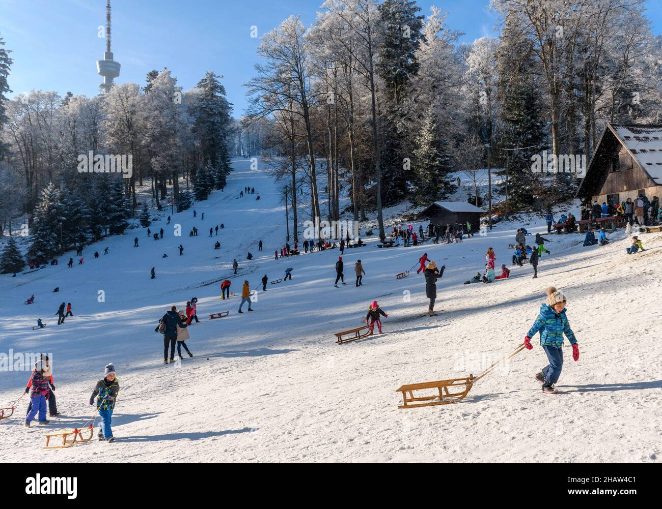 Winter scene with people enjoying in winter activities on sledding hill ...
