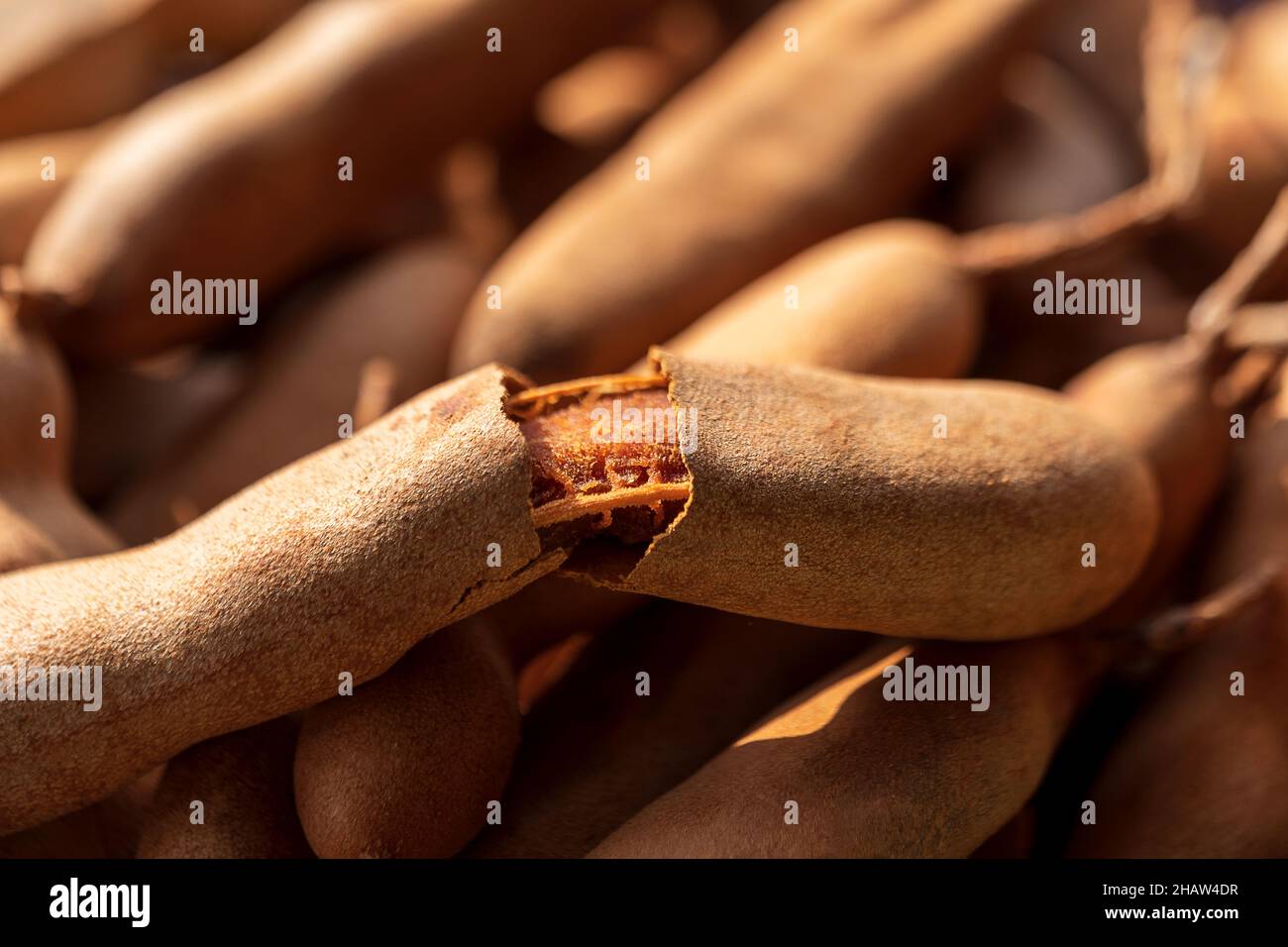 A top view selective focused shot of ripe tamarind for cooking as a ...