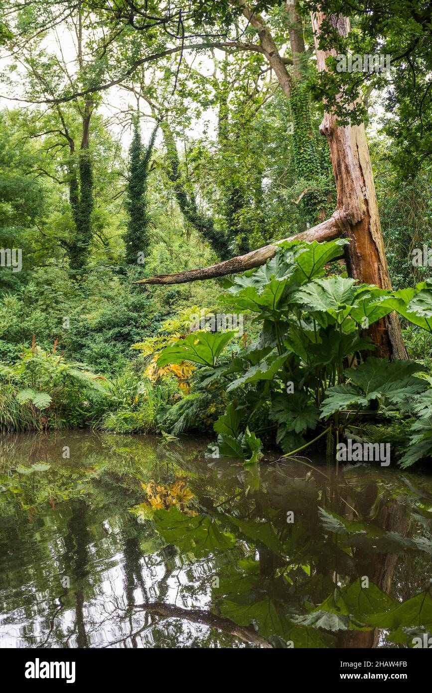 Floodplain landscape of the Erft, Museum Insel Hombroich, Neuss, Lower ...