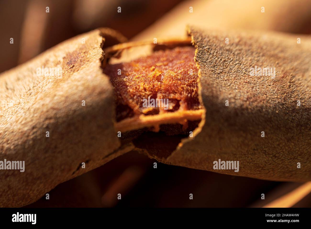 Macro shot of a peeled sweet and sour tamarind fruits. Brown ripe ...