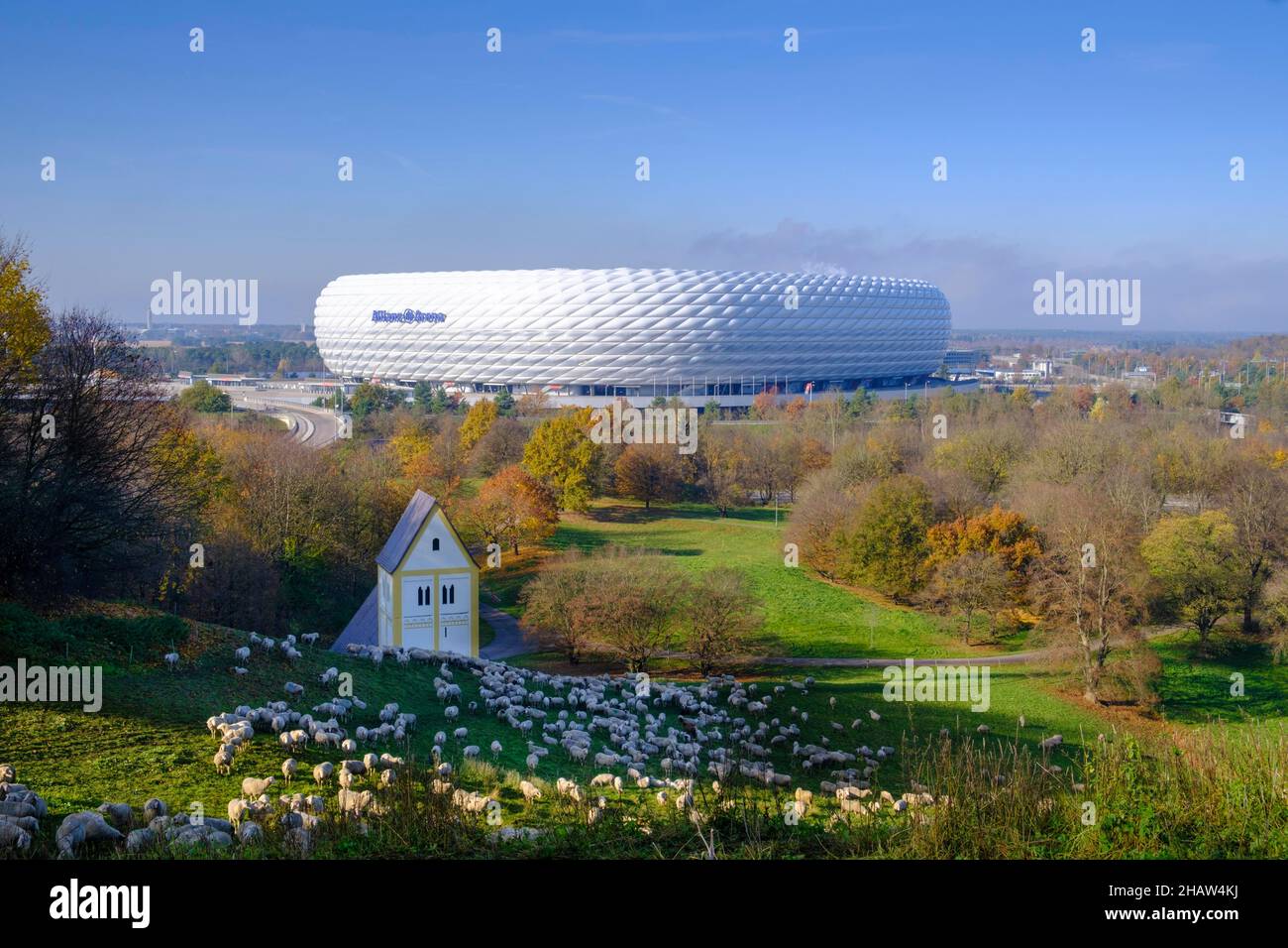 Allianz Arena, with flock of sheep and buried replica of the Holy Cross ...