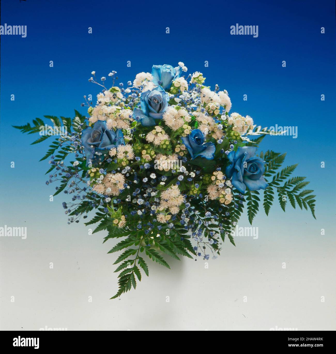 5 five blue roses in a flower vase, bouquet, cut out Stock Photo - Alamy