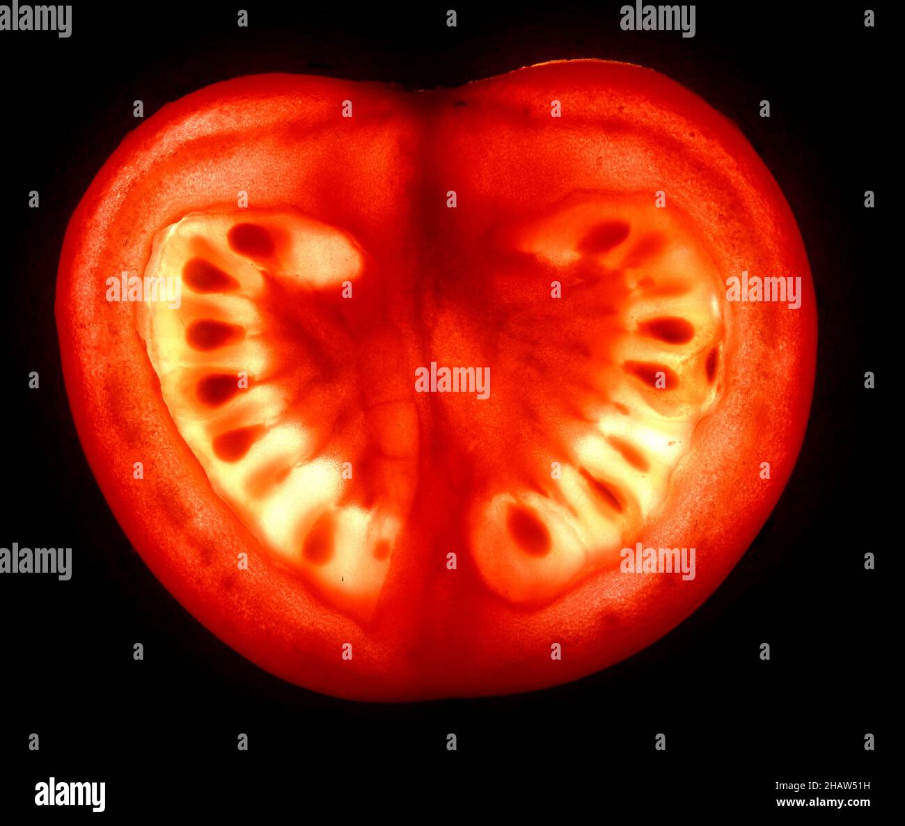 Tomato half, cross section Stock Photo - Alamy