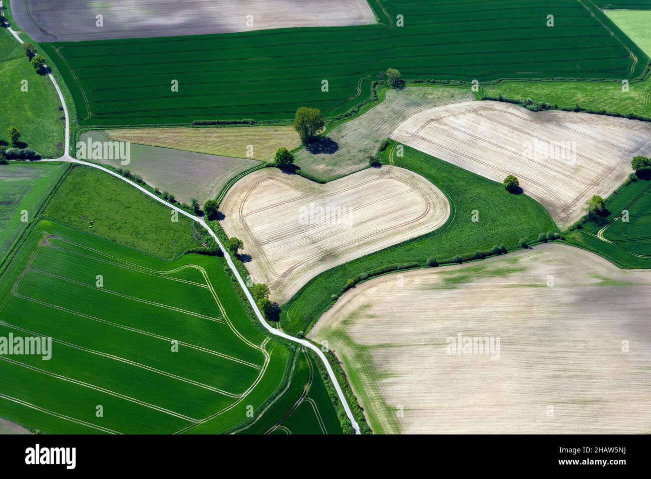 Heart, Field, Agriculture, Aerial view, Shape, Hearty, Heart shape ...