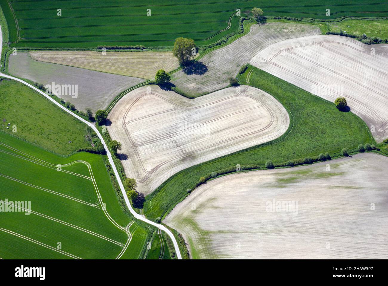 Heart, Field, Agriculture, Aerial view, Shape, Hearty, Heart shape ...