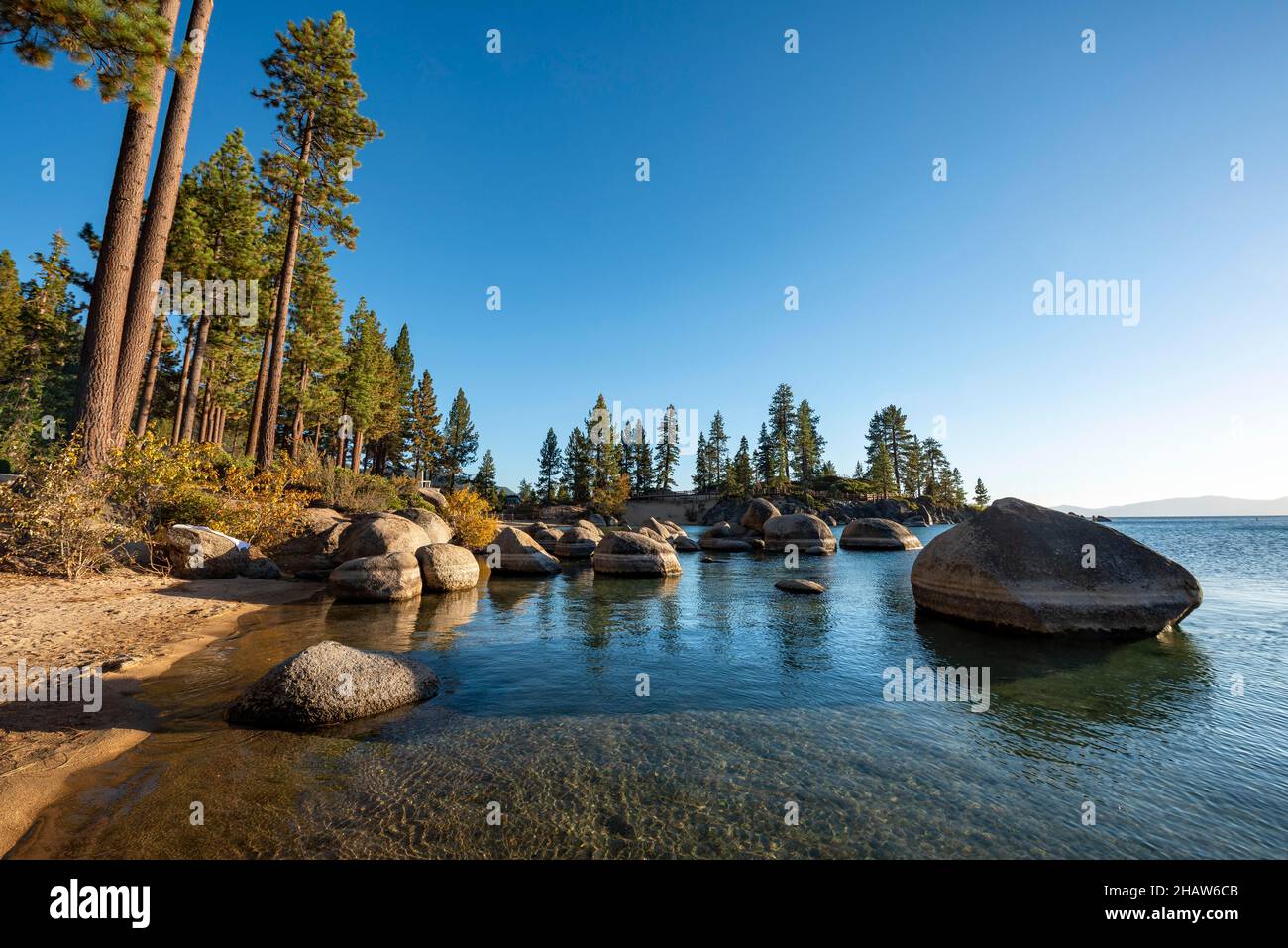 Sandy beach beach with pine trees, bay at Lake Tahoe, round stones in ...