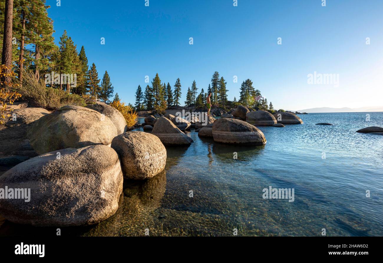 Beach with pine trees, round stones in the water, bay at Lake Tahoe ...