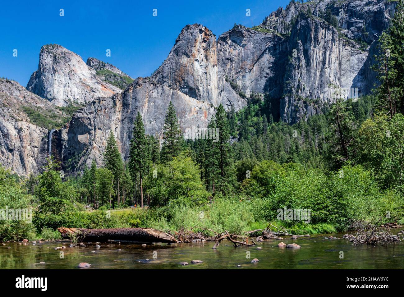 Yosemite national forrest hi-res stock photography and images - Alamy