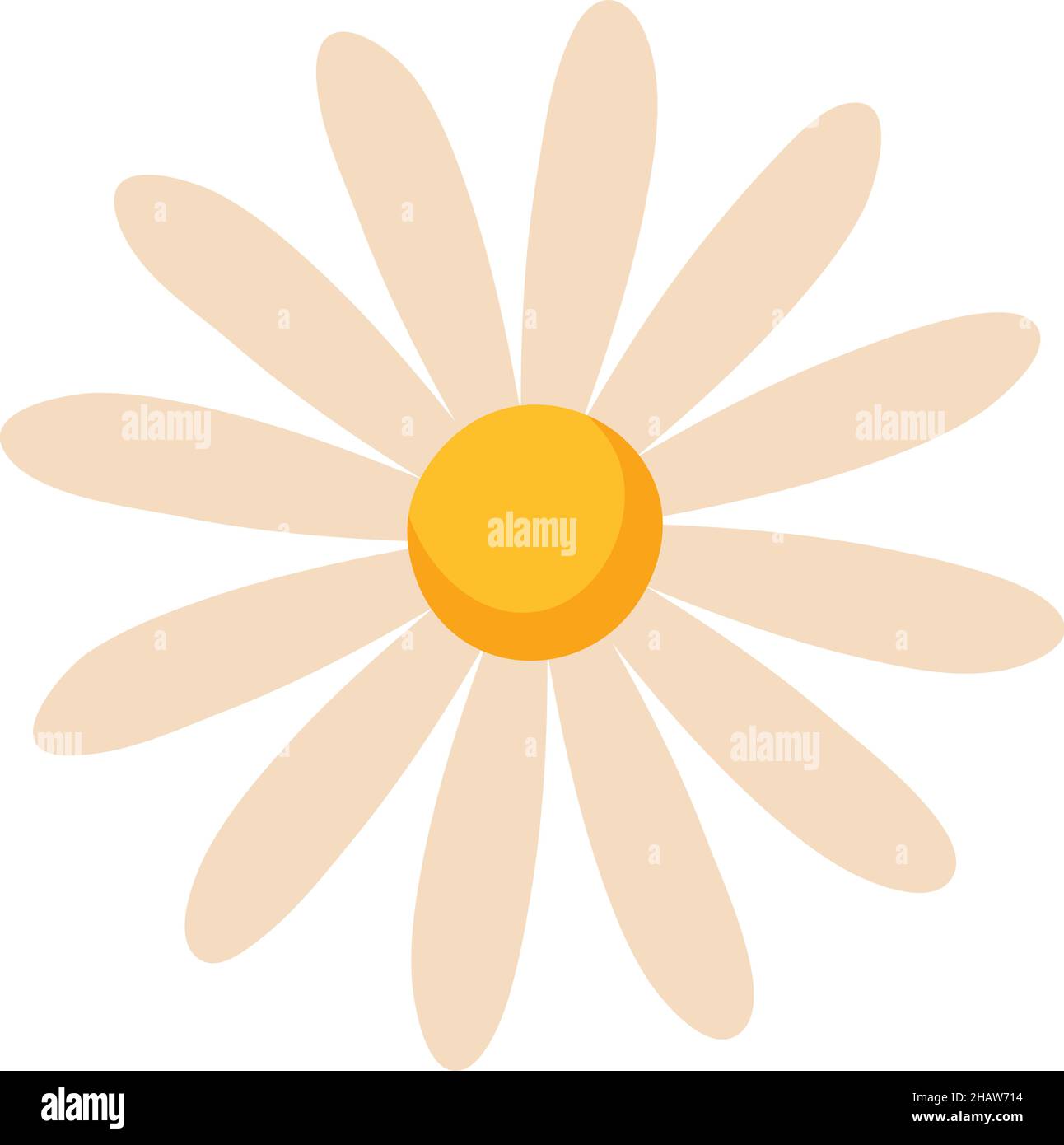 daisy flower icon on white background Stock Vector Image & Art - Alamy