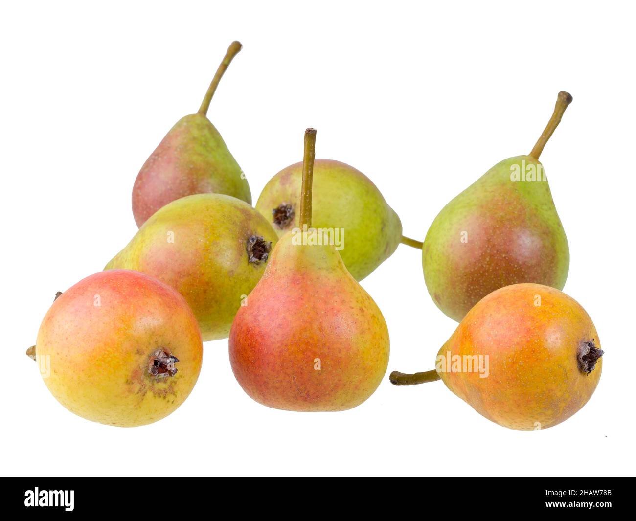 Pear variety Summer muscat pear, cutout Stock Photo - Alamy
