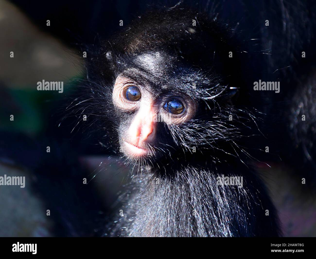 Serere eco reserve hi-res stock photography and images - Alamy