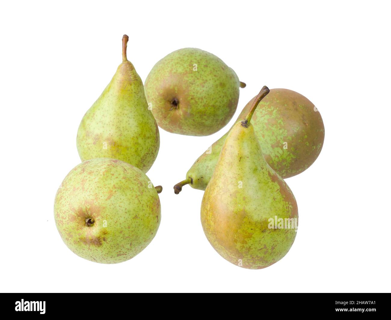 Pear Variety Conference, cut out Stock Photo - Alamy