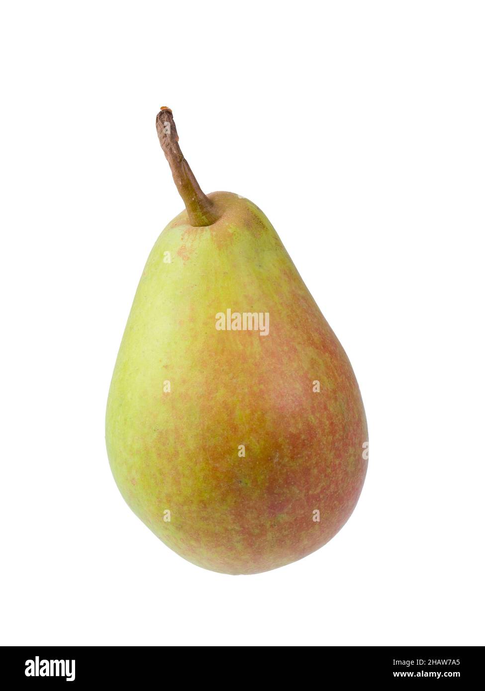 Pear variety Variegated July pear, cutout Stock Photo - Alamy