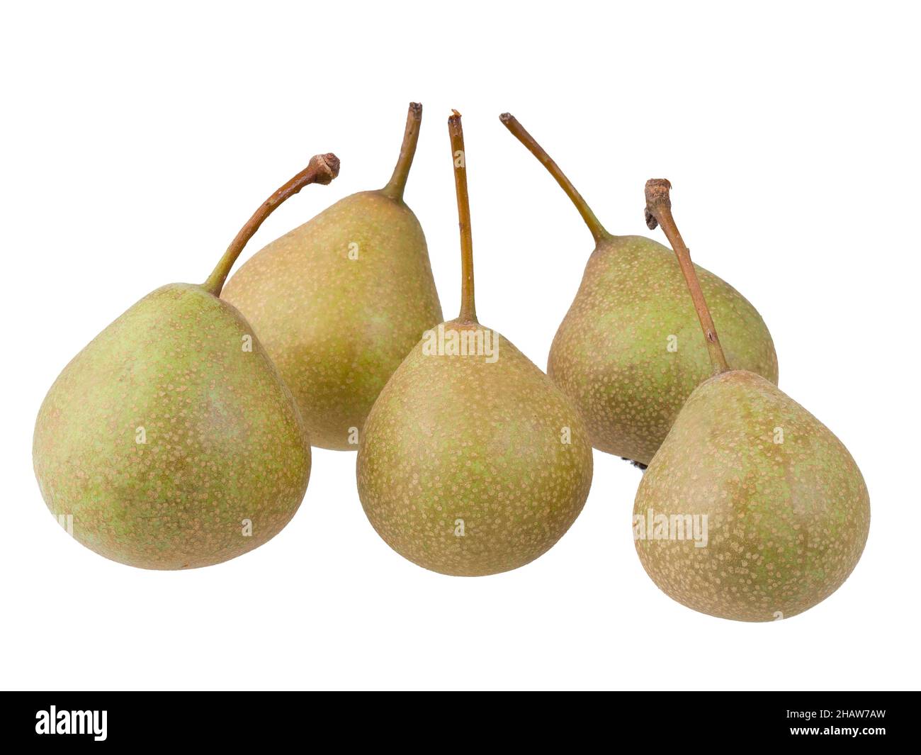 Pear variety Palmish pear, cutout Stock Photo - Alamy
