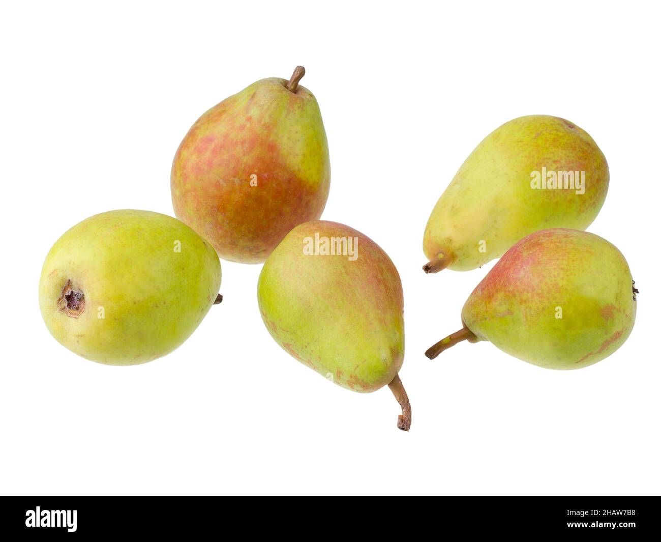 Pear variety Variegated July pear, cutout Stock Photo - Alamy