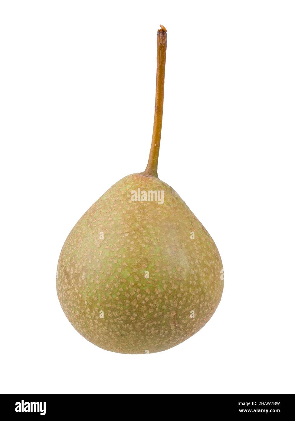 Pear variety Palmish pear, cutout Stock Photo - Alamy