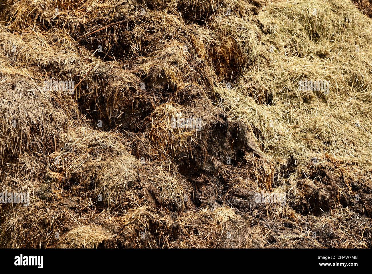 Dung hill hi-res stock photography and images - Alamy