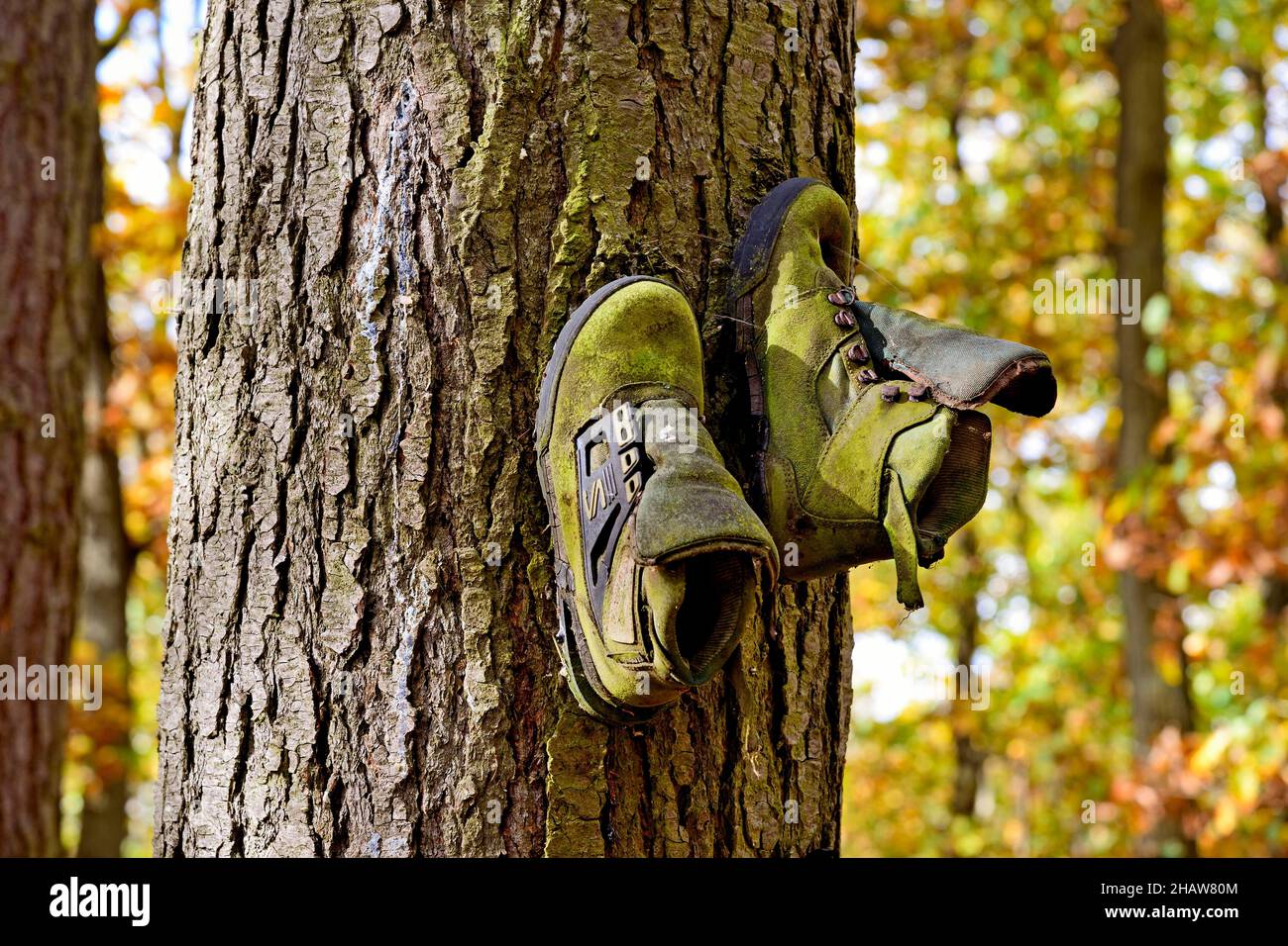Old wooded boot hi-res stock photography and images - Alamy