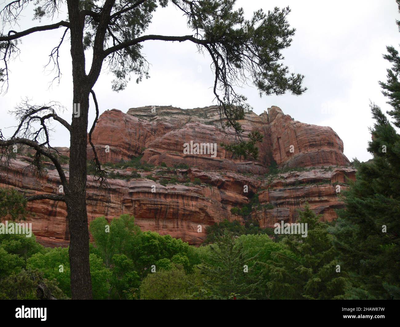 Rain soaked red rock stands above the forest Stock Photo - Alamy