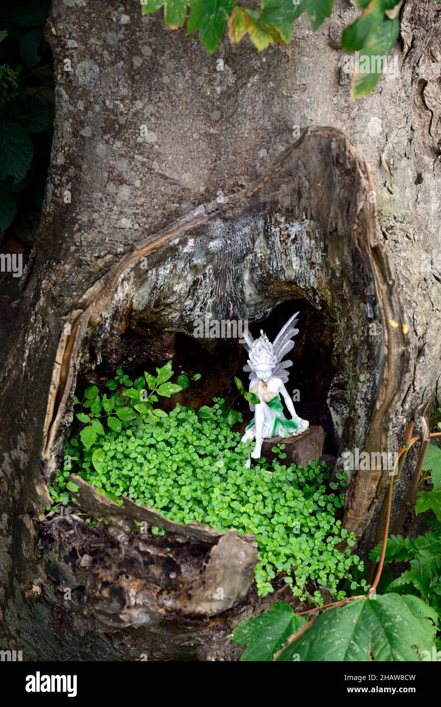 fairy in a grotto,fairy in a fairy grotto,fairy in a tree,trees,fairy ...