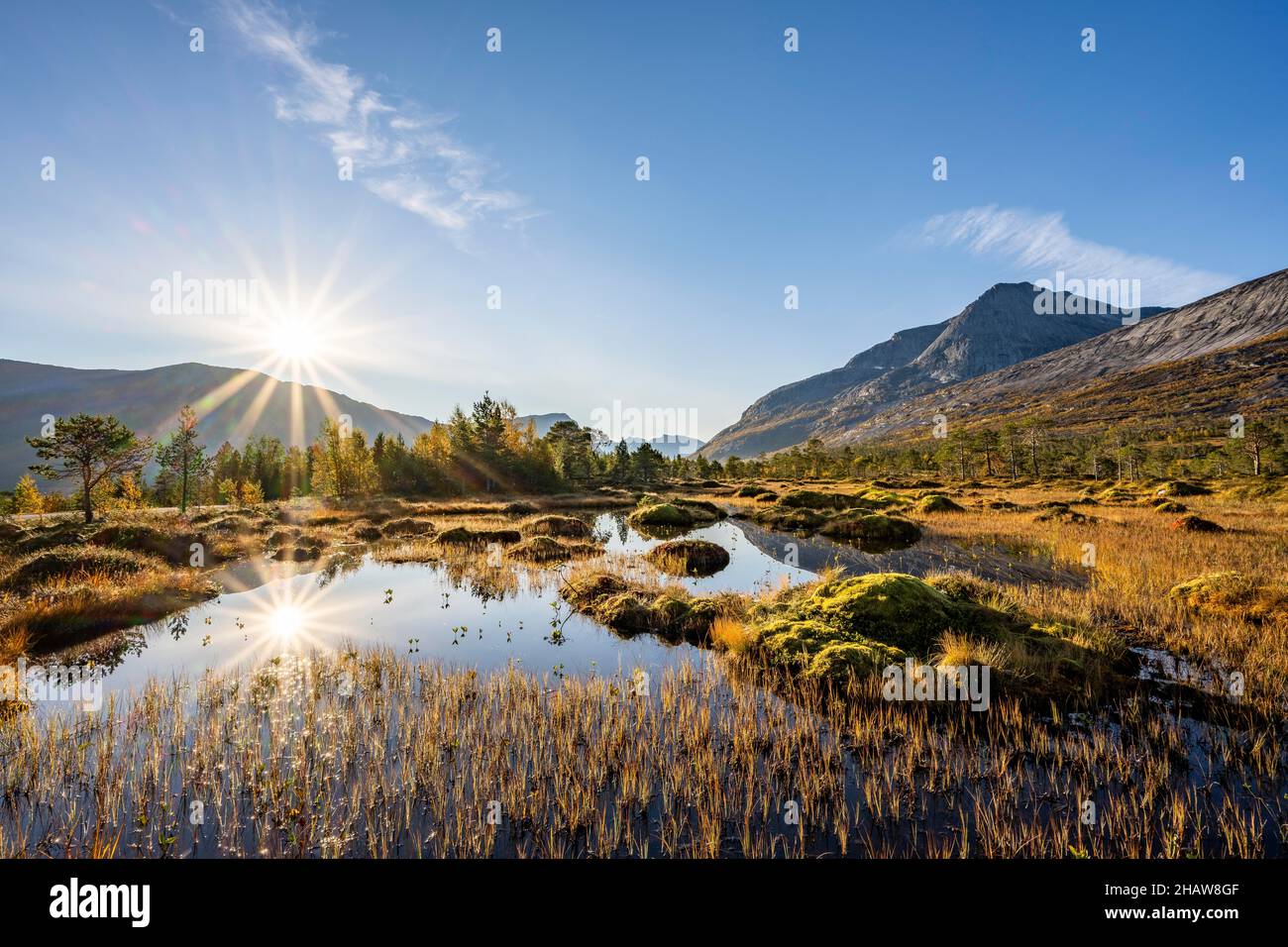 Small pond with bog landscape, Efjord, Tysfjord, Ofoten, Nordland ...