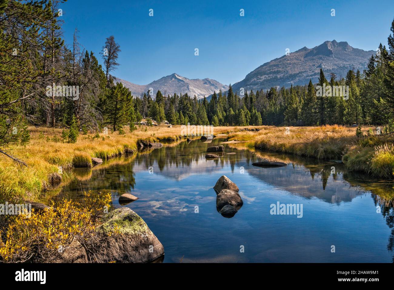 Fall color plants at Big Sandy River, Big Sandy Lake Trail, Wind River ...