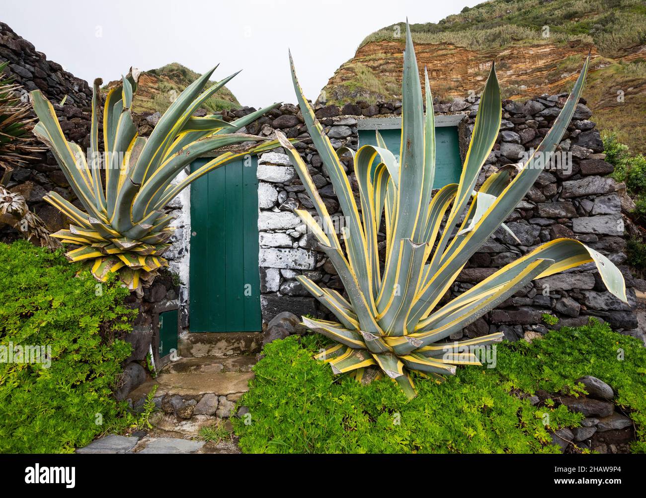 Stone facade with green house door and agave, Rocha da Relva, Sao ...
