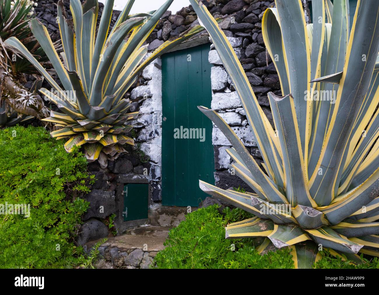 Stone facade with green house door and agave, Rocha da Relva, Sao ...