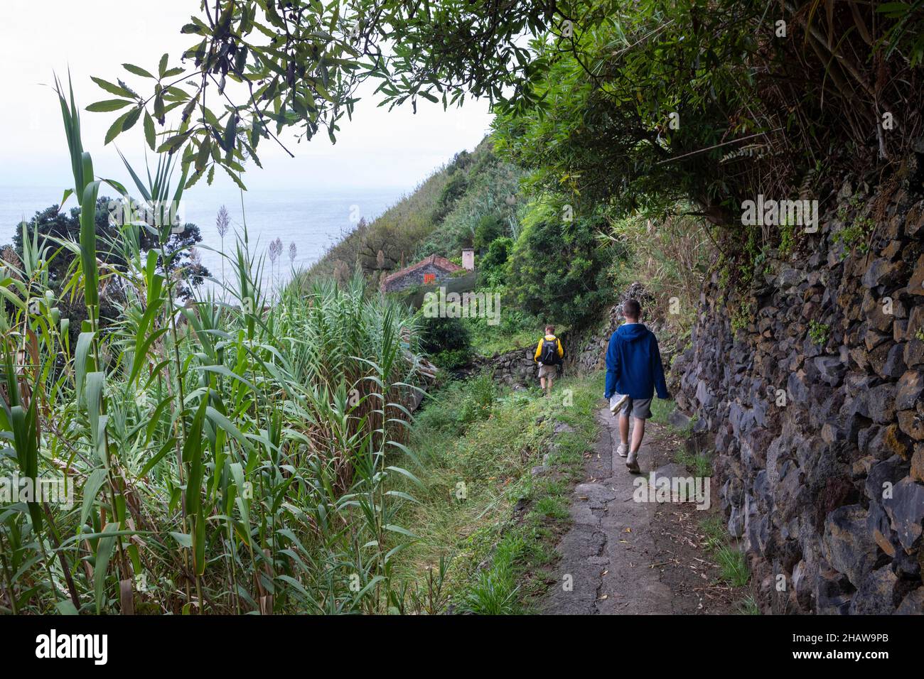 Hikers on the way to Rocha da Relva, Sao Miguel Island, Azores ...