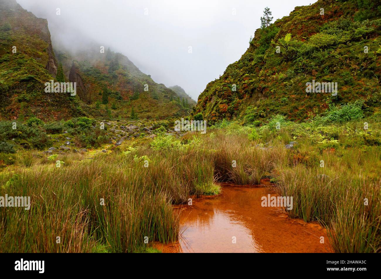 Mossy landscape with orange ferruginous water, Vale das Lombadas, Serra ...