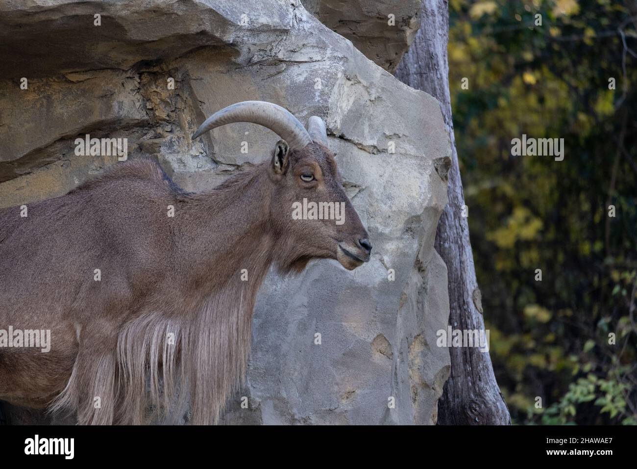 Agriculture habitat hi-res stock photography and images - Alamy