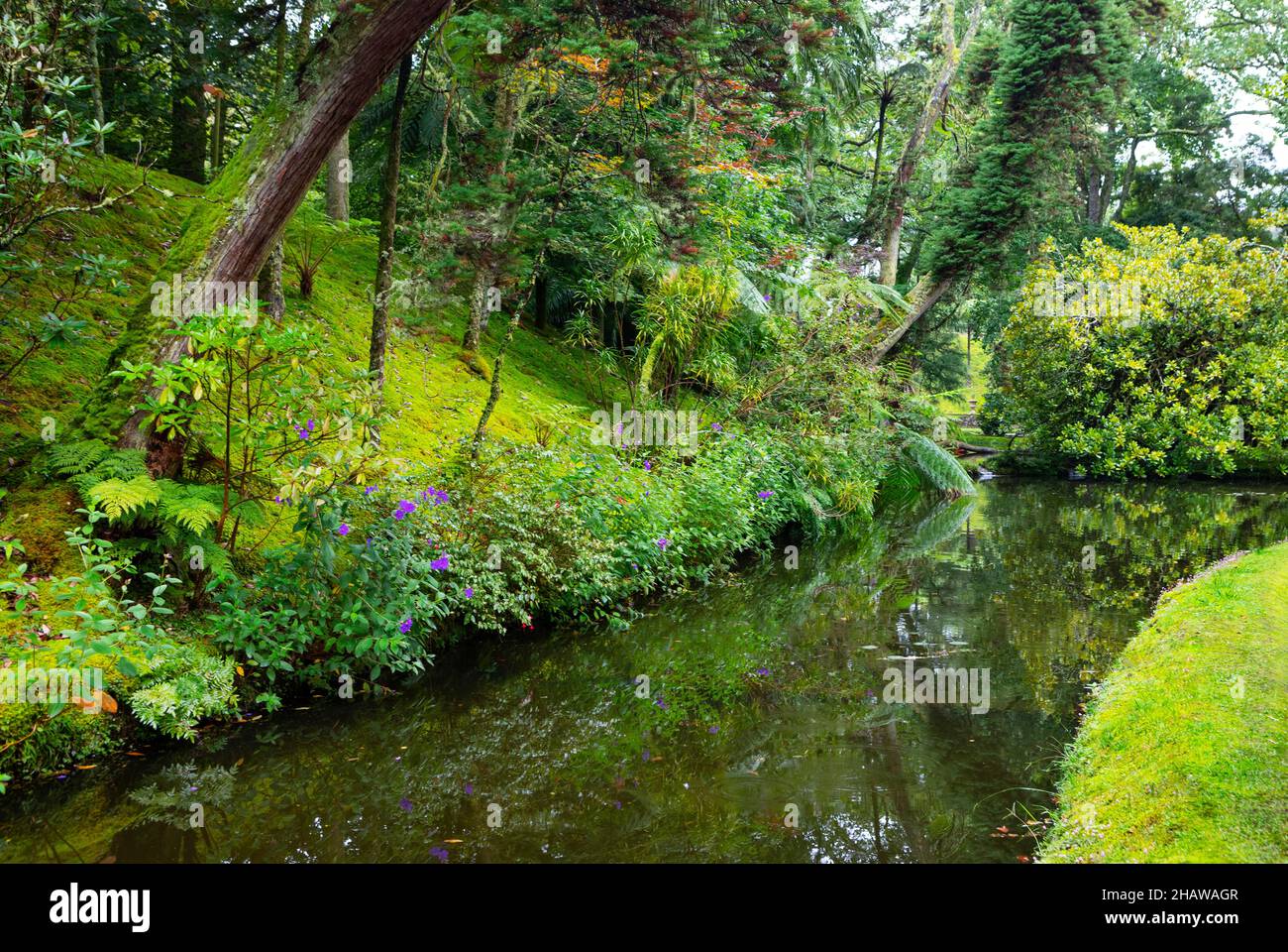 Botanical Garden, Terra Nostra Park, Furnas, Sao Miguel Island, Azores ...