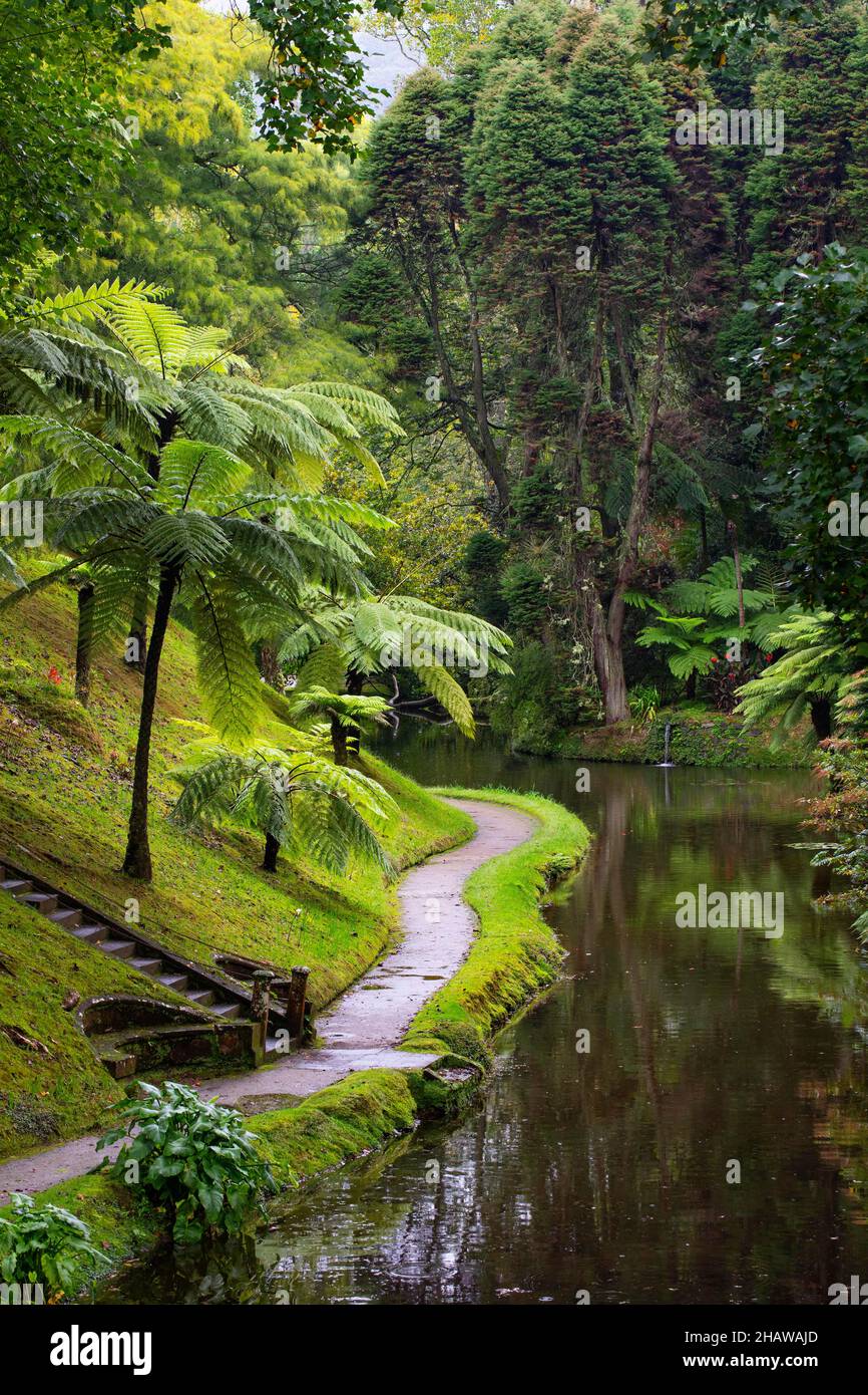 Botanical Garden, Terra Nostra Park, Furnas, Sao Miguel Island, Azores ...