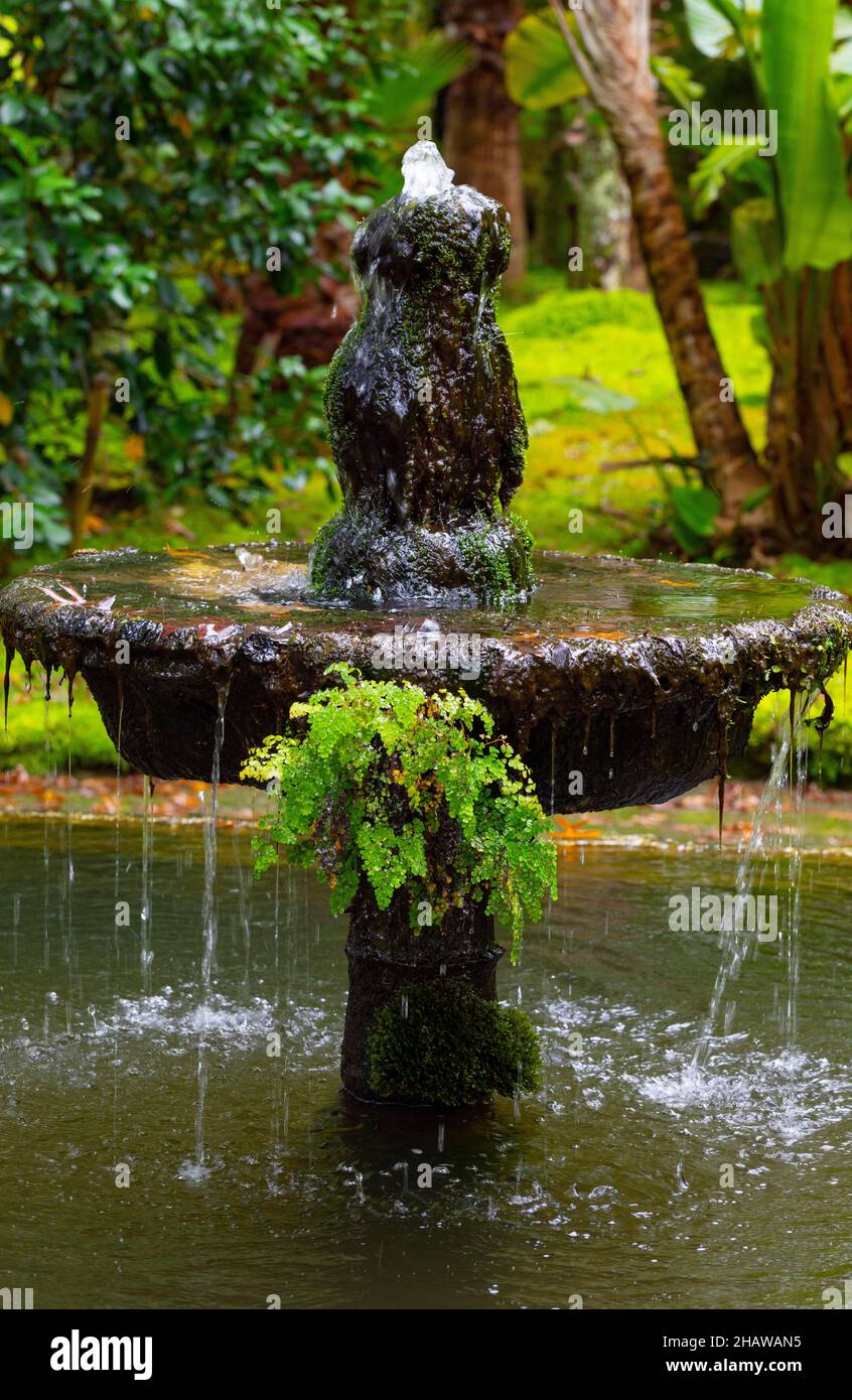 Botanical Garden, Fountain in Terra Nostra Park, Furnas, Sao Miguel ...