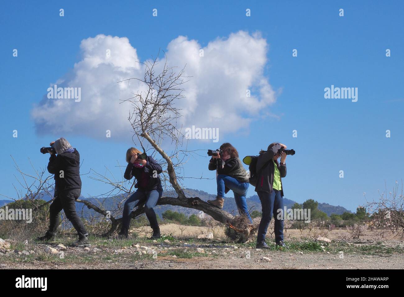 Women photographers with cameras on tree stump, mood with clouds, woman ...