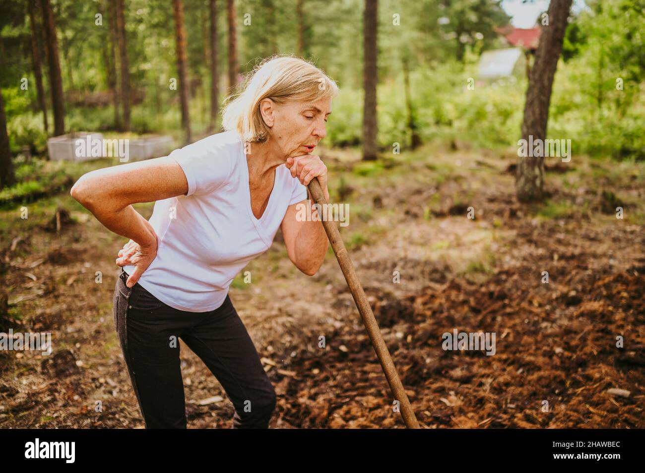 Senior gardener woman falls hurts back pain radiculitis digging at ...