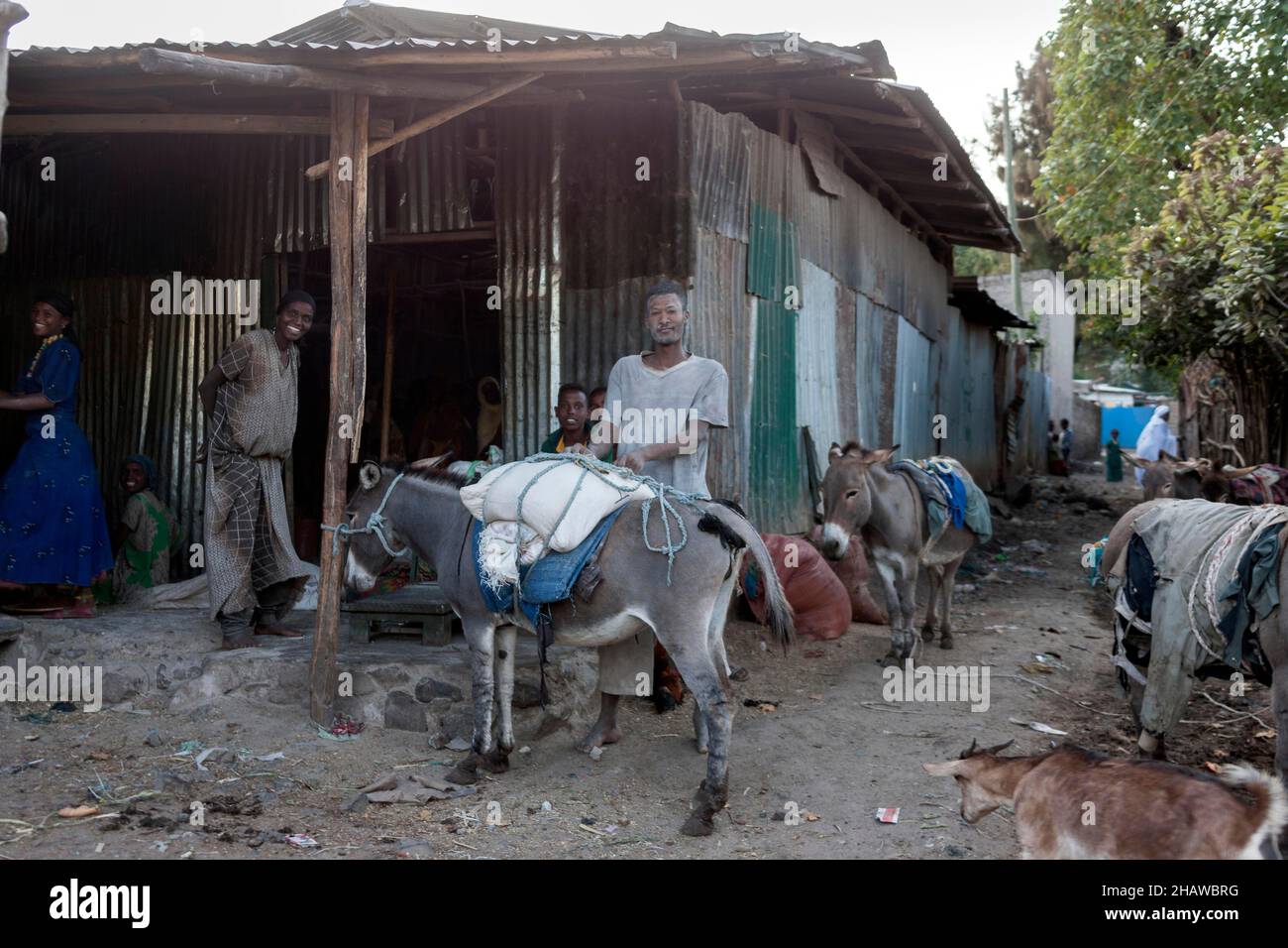 Donkey packing station, Asebe Teferi, Oromia, Ethiopia Stock Photo - Alamy