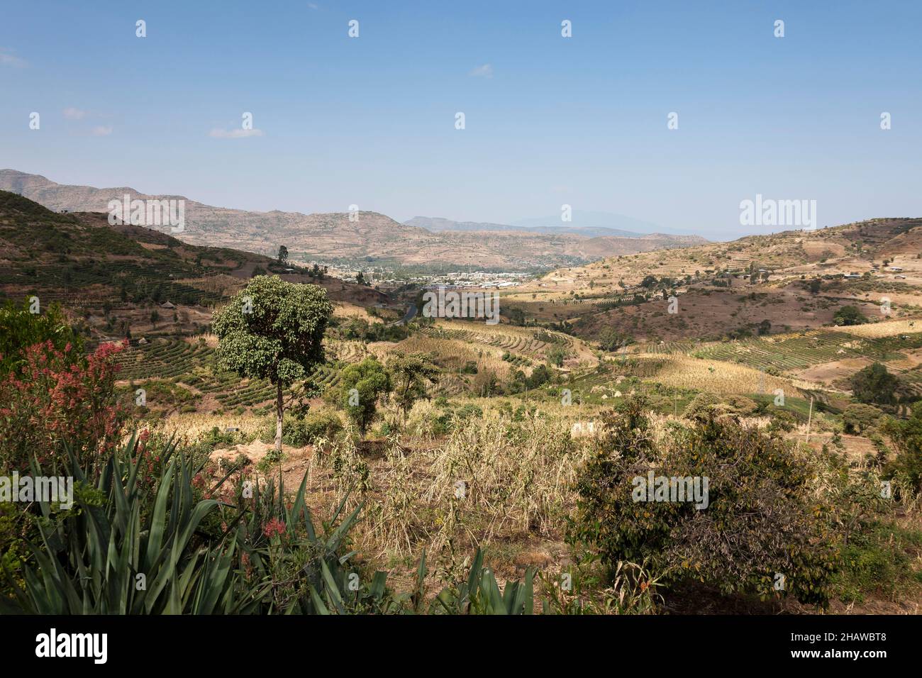 Landscape, fields, cultivation area, Oromia, Ethiopia Stock Photo - Alamy