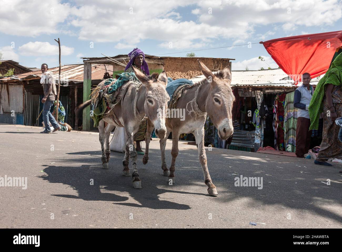 Pack donkey, Asebe Teferi, Oromia, Ethiopia Stock Photo - Alamy