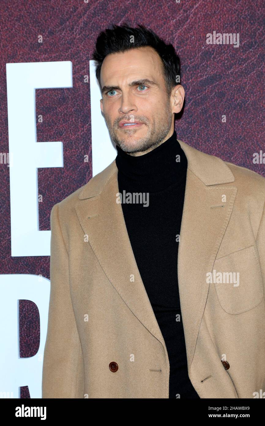 Cheyenne Jackson at The Tender Bar Premiere at the TCL Chinese Theater ...